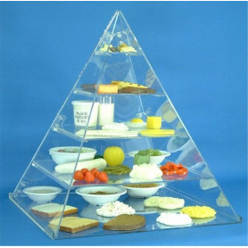 Προπλάσματα εκπαιδευτικά | Medi-Shop.gr