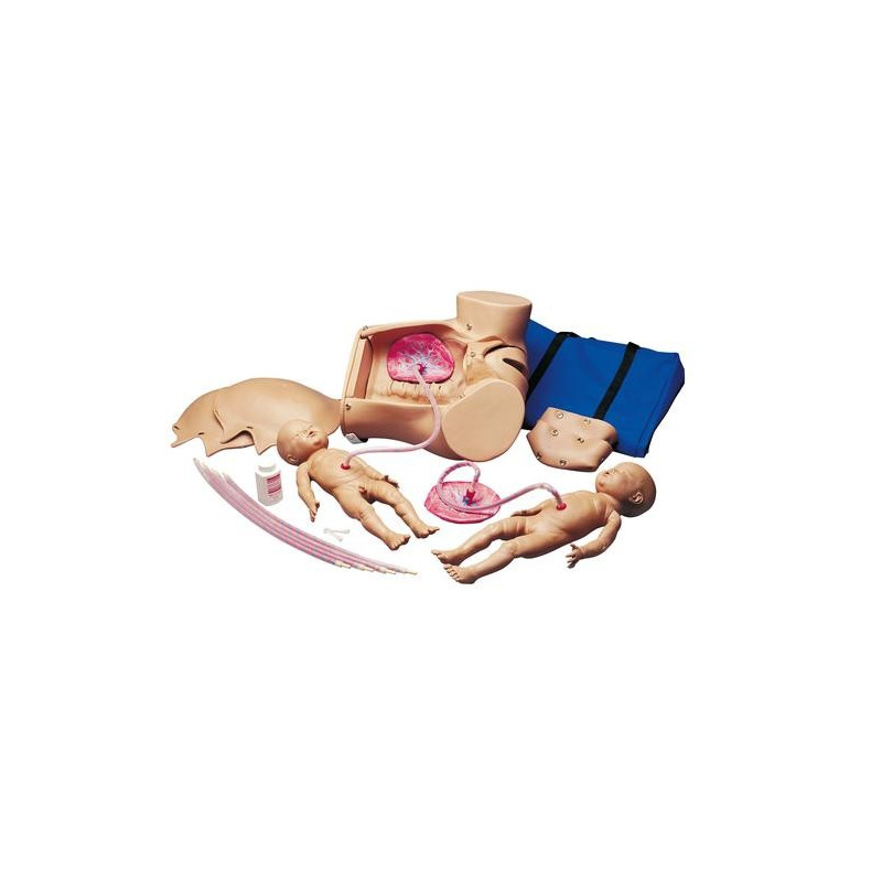 Birthing Simulator model W45025 | Medi-Shop.gr
