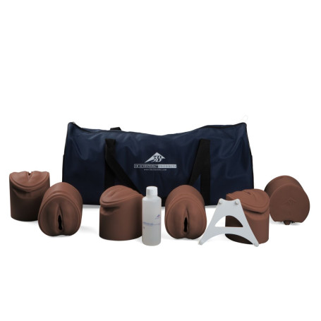 Σετ προσομοιωτών διαστολής τραχήλου 6 σταδίων 3B Scientific dark skin ...